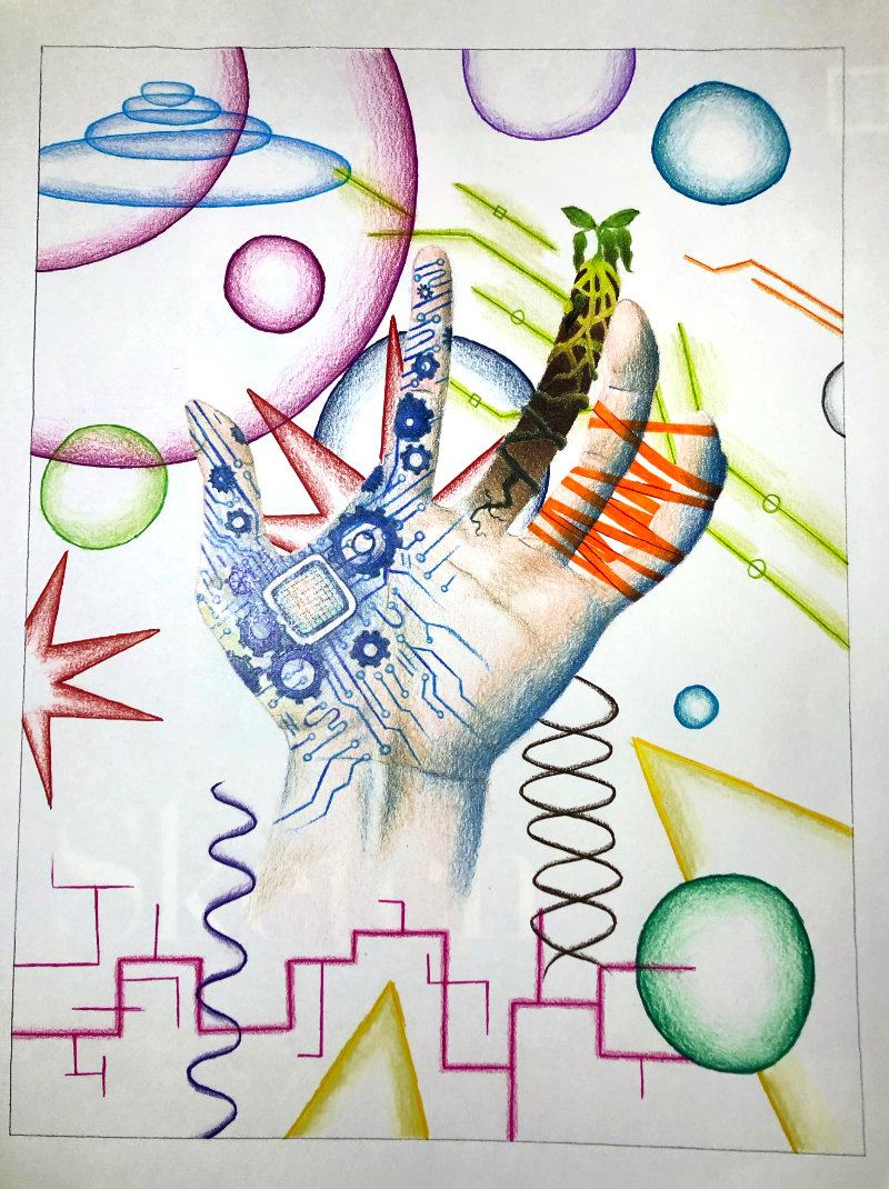 Minako Williams' Portfolio